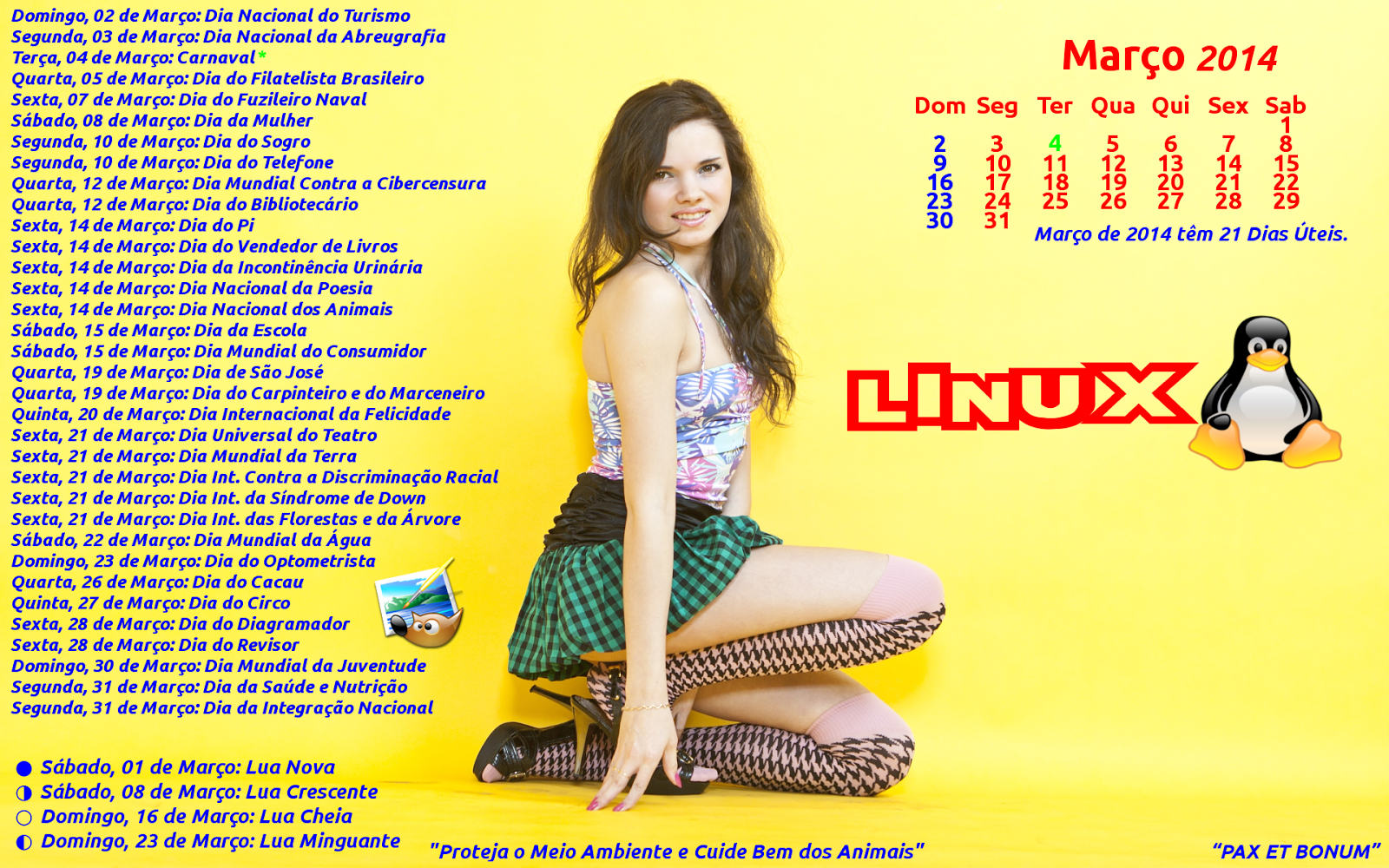 superlinuxmg-br: fevereiro 2014